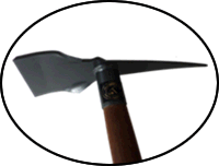 CC Picks Prospector – Coiltek Gold Centre